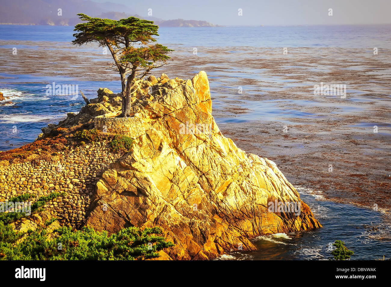 Usa kniha hi-res stock photography and images - Alamy