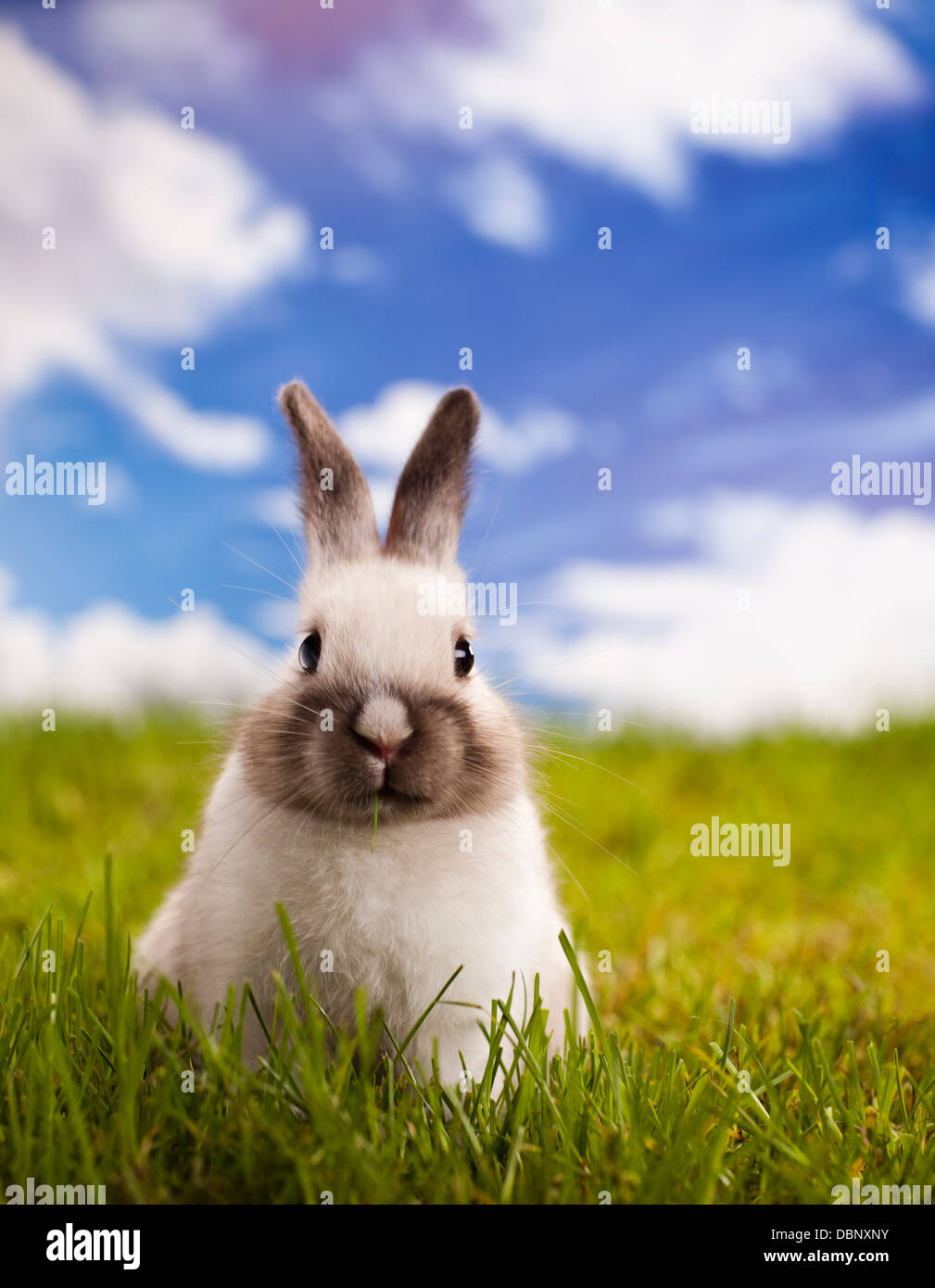 Happycute hi-res stock photography and images - Alamy