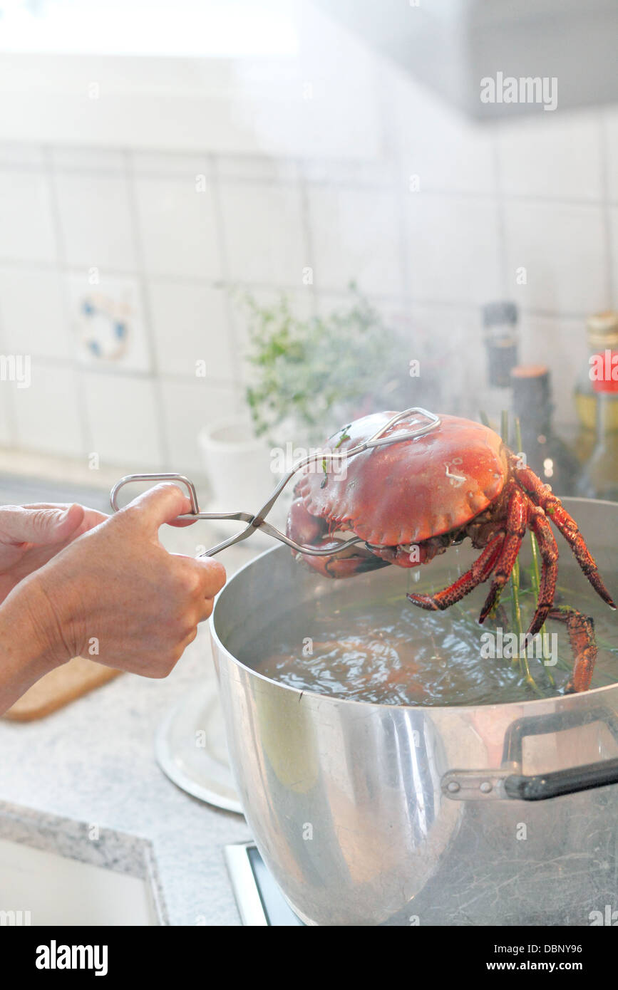 The boiling crab hi-res stock photography and images - Alamy