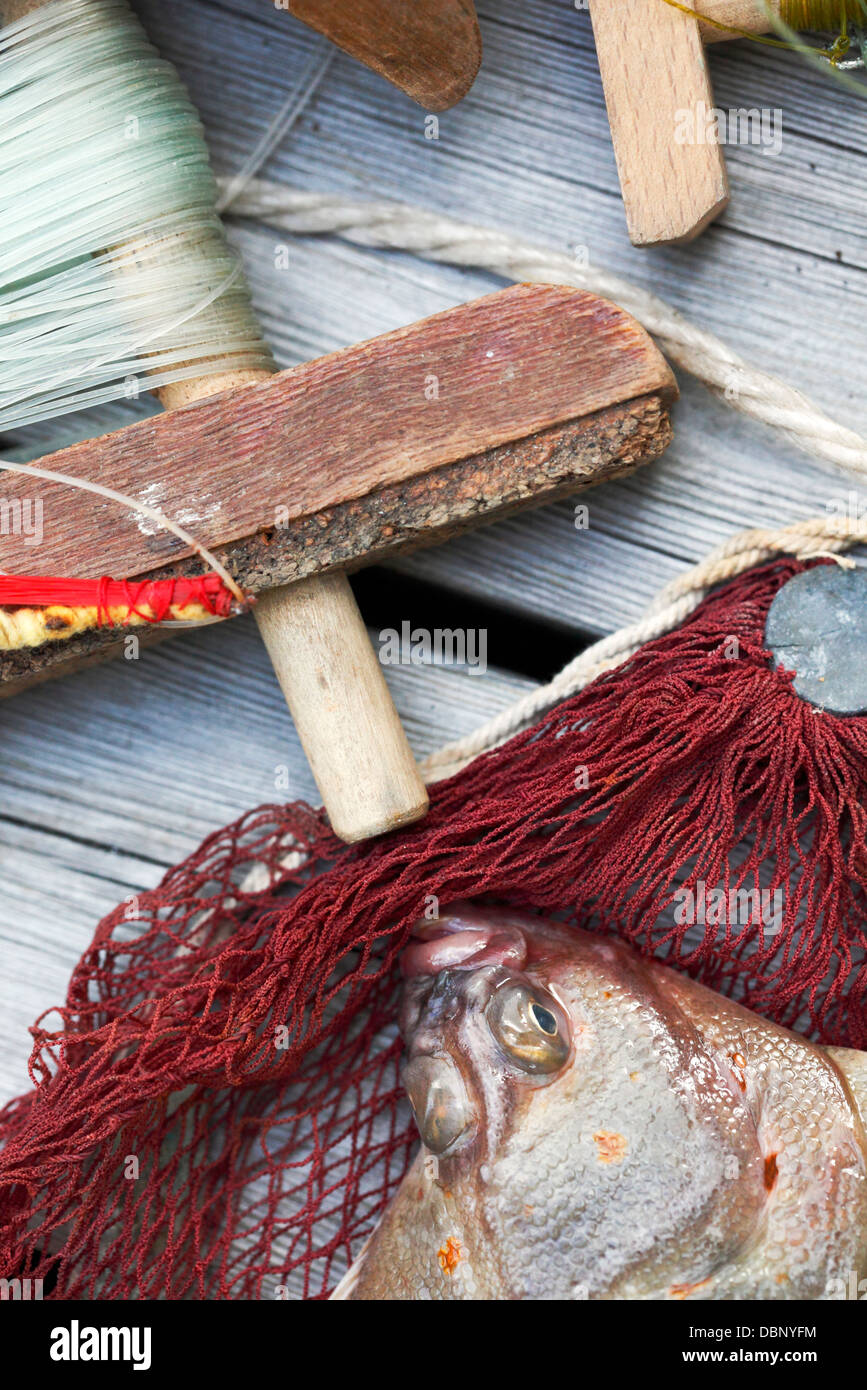 Lying dead wood hi-res stock photography and images - Alamy