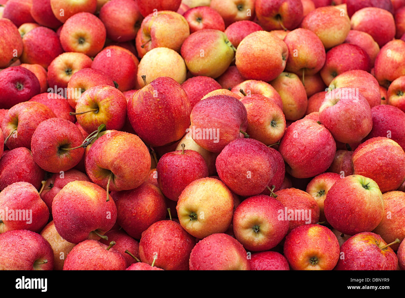 a stack of red apples Stock Photo - Alamy