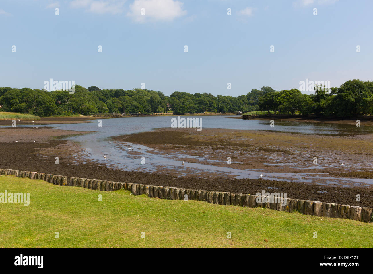 Beaulieu River New Forest national park in Hampshire England Stock ...
