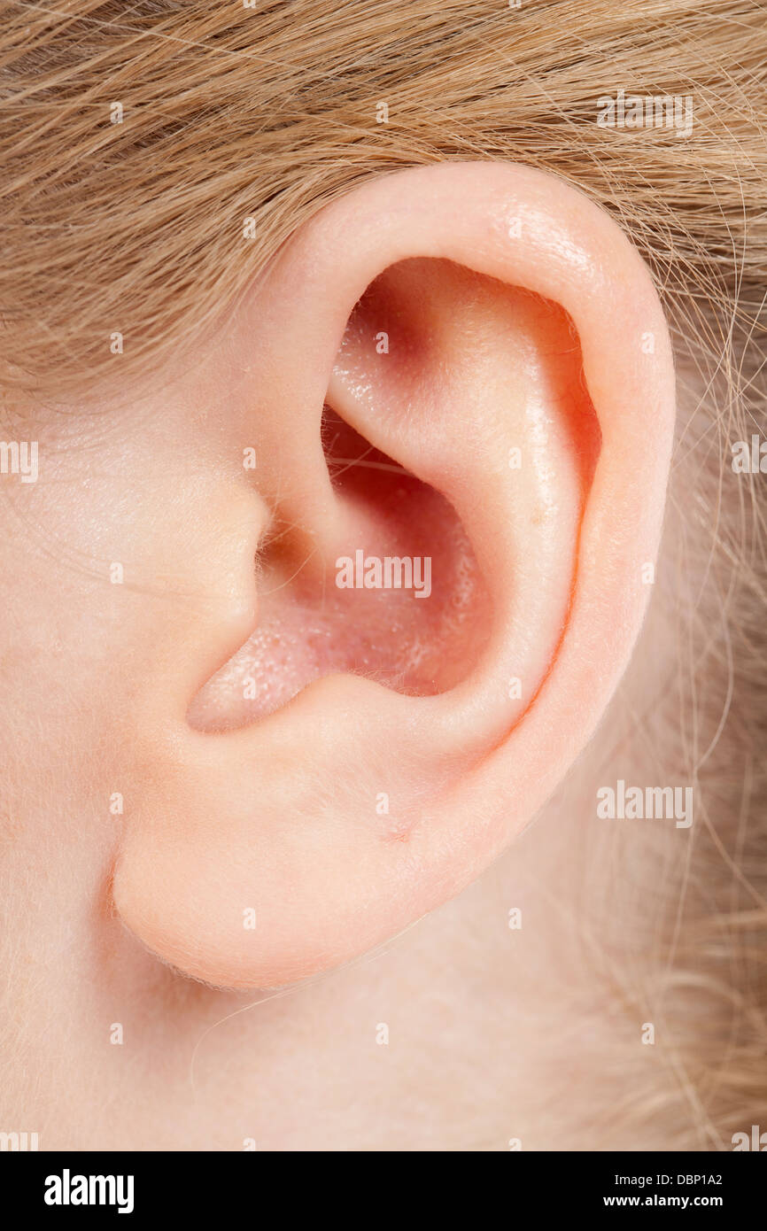 Ear human hi-res stock photography and images - Alamy