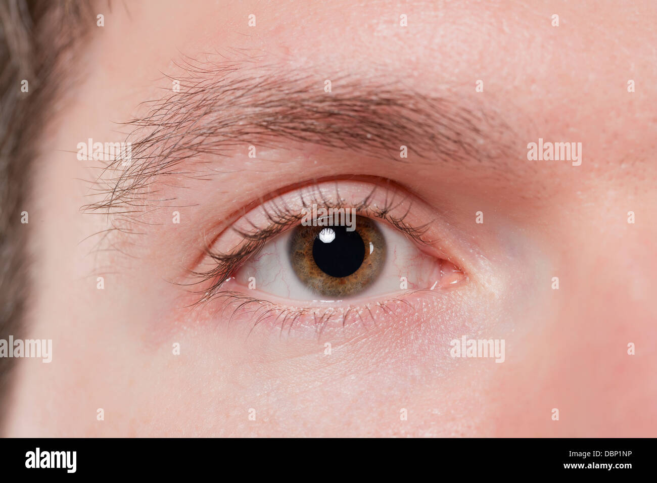 man with brown eye Stock Photo - Alamy