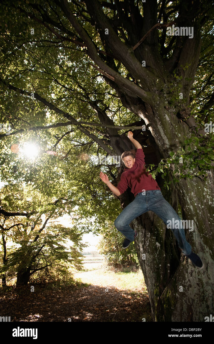 Jumping from tree hi-res stock photography and images - Alamy