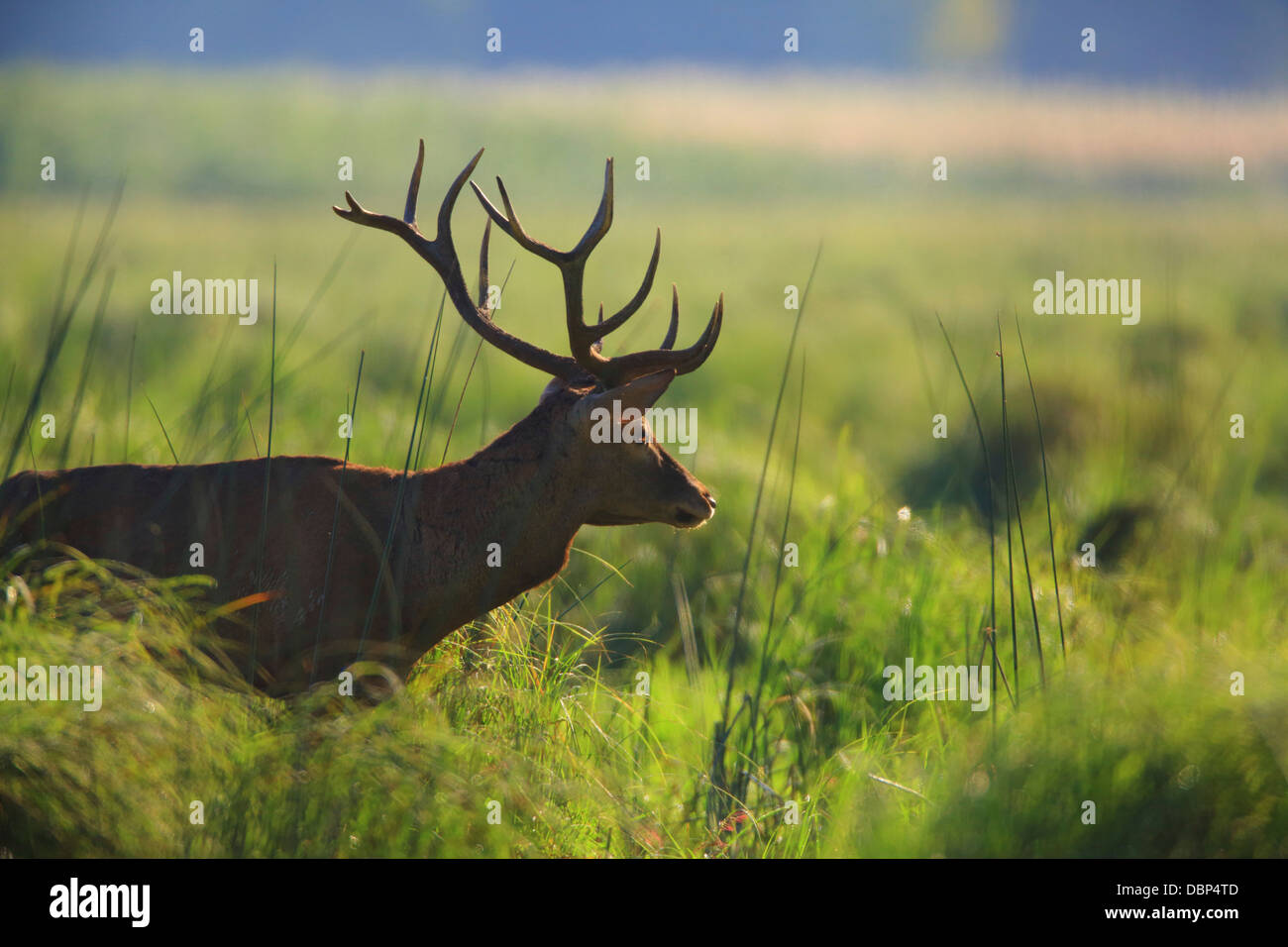 World Environment Day Series High Resolution Stock Photography and ...