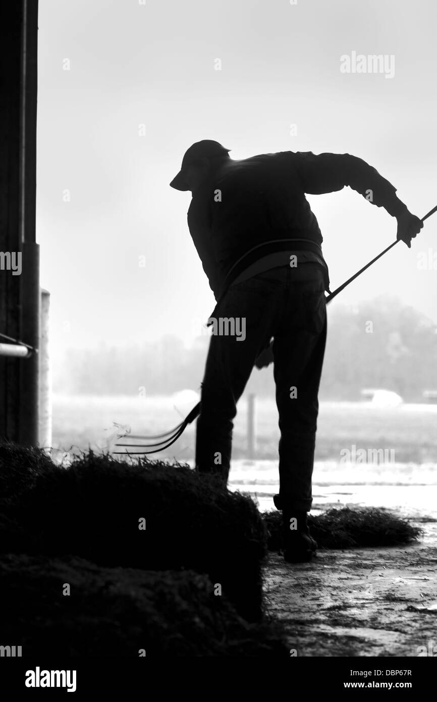 Farmer with a pitchfork hi-res stock photography and images - Alamy