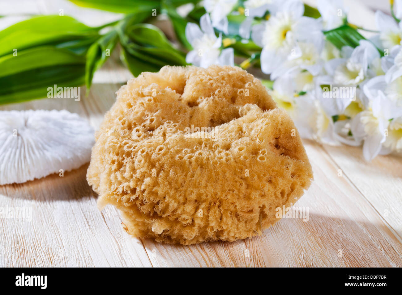 Natural accessory hi-res stock photography and images - Alamy