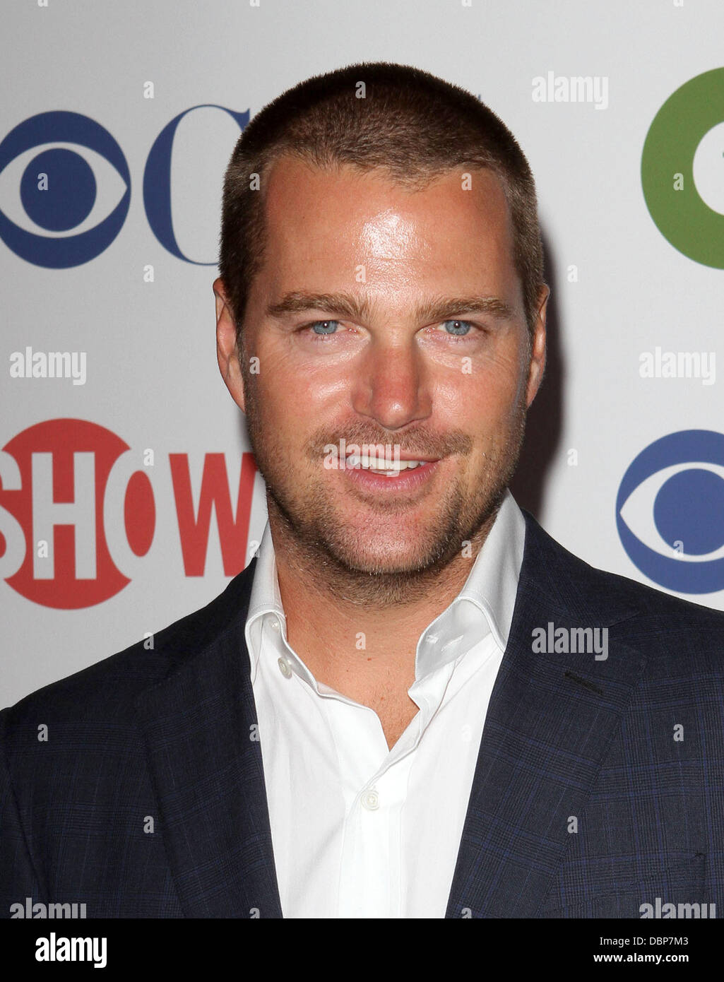 Chris O'Donnell CBS,The CW And Showtime TCA Party Held At The Pagoda ...