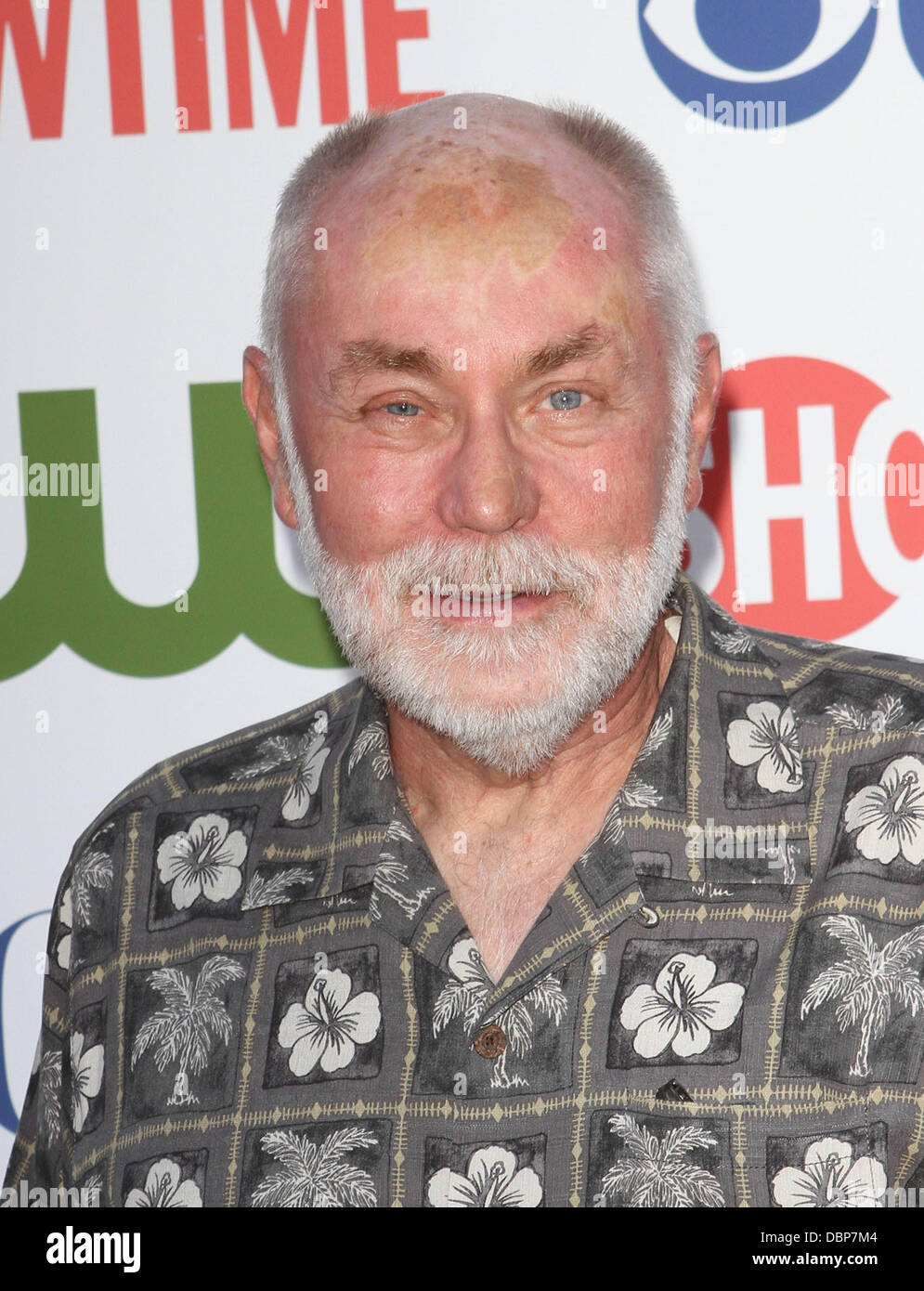 Robert David Hall CBS,The CW And Showtime TCA Party Held At The Pagoda ...