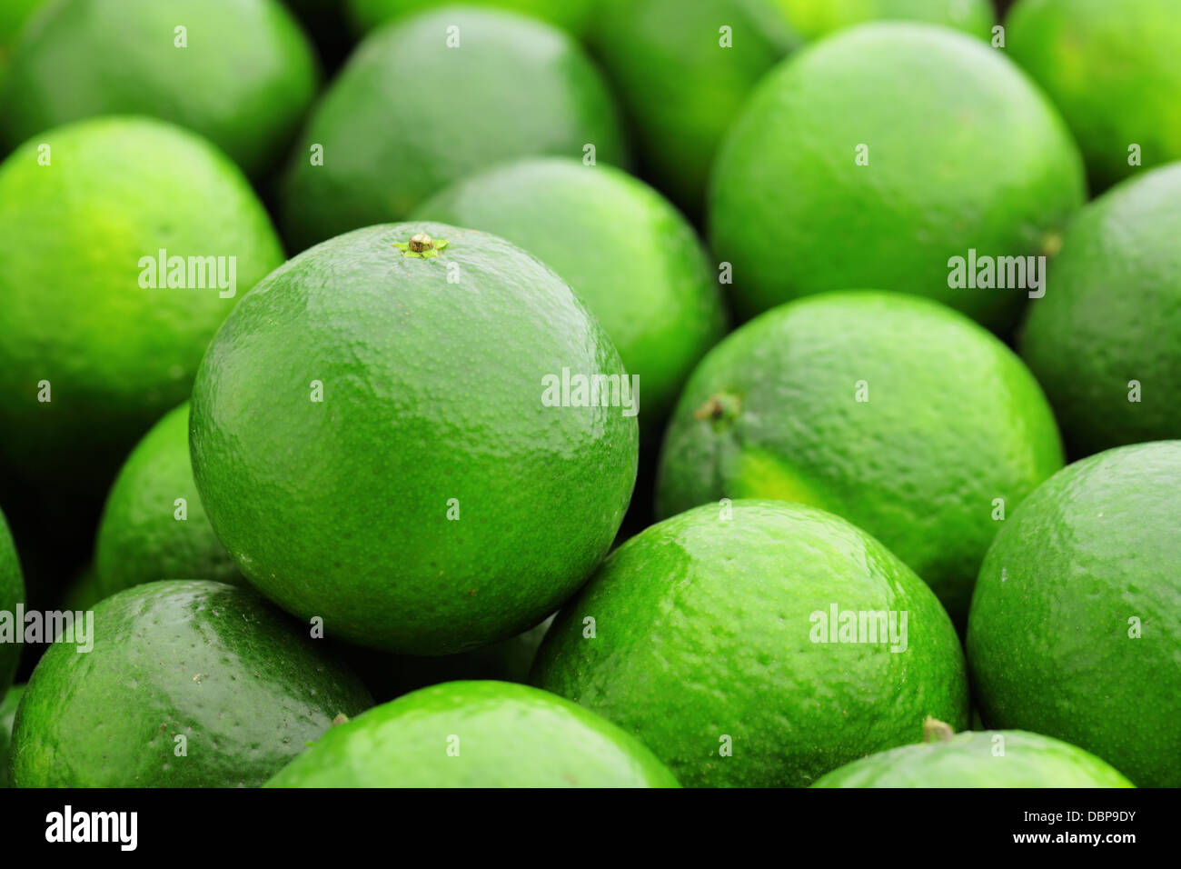 lime citrus fruit Stock Photo - Alamy