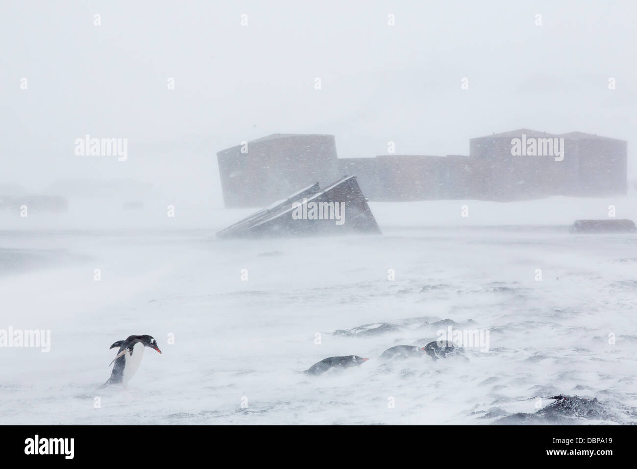Deception island antarctica hi-res stock photography and images - Alamy