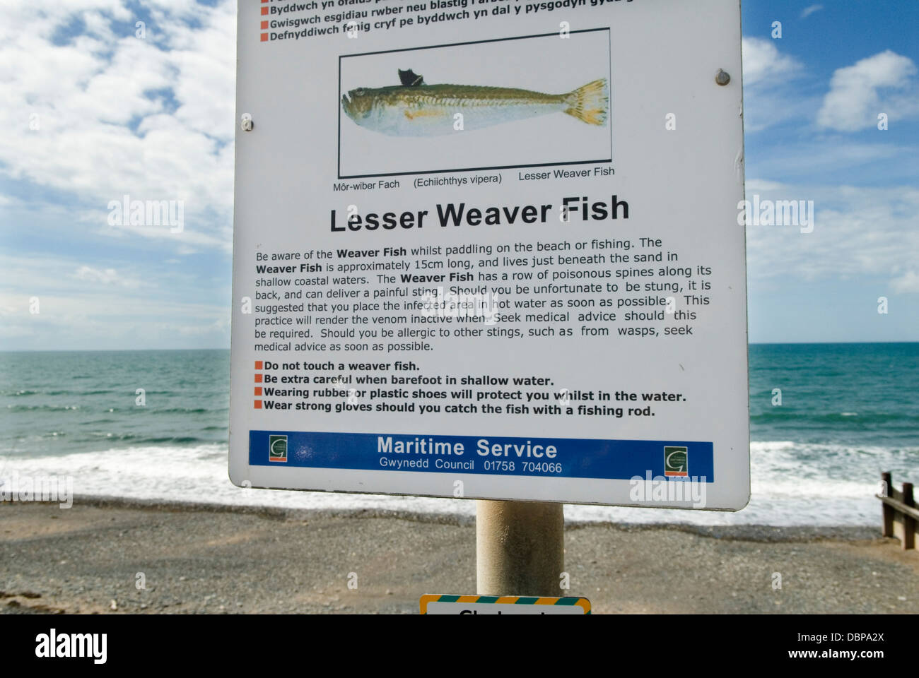 Lesser Weaver Fish, Welsh beach sign Beware. Gwynedd Wales UK. 2013 ...