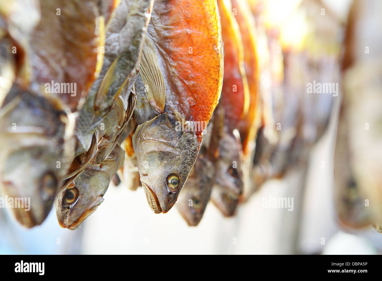 dried salt fish Stock Photo - Alamy