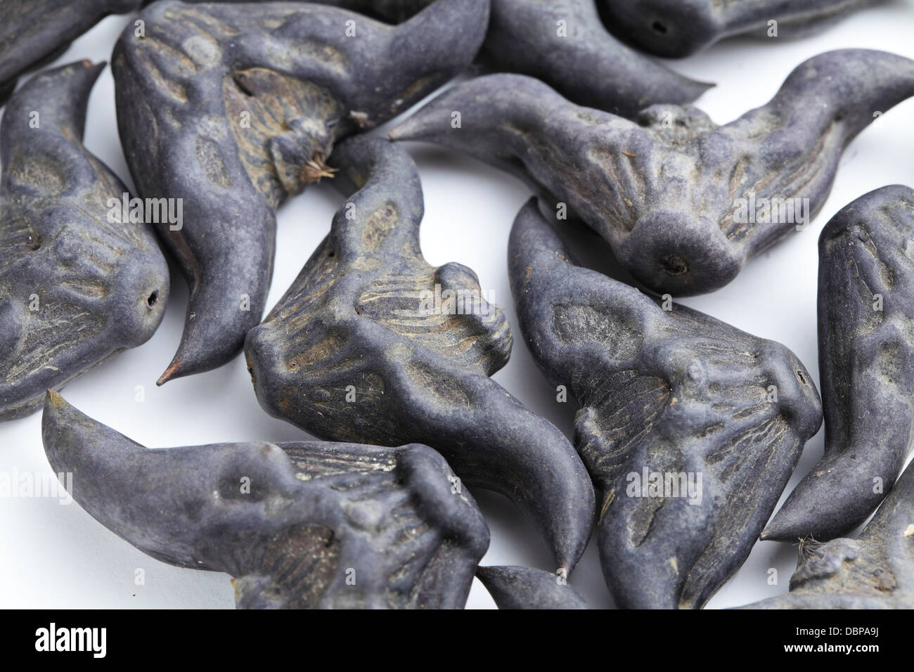 Roasted water chestnut hi-res stock photography and images - Alamy