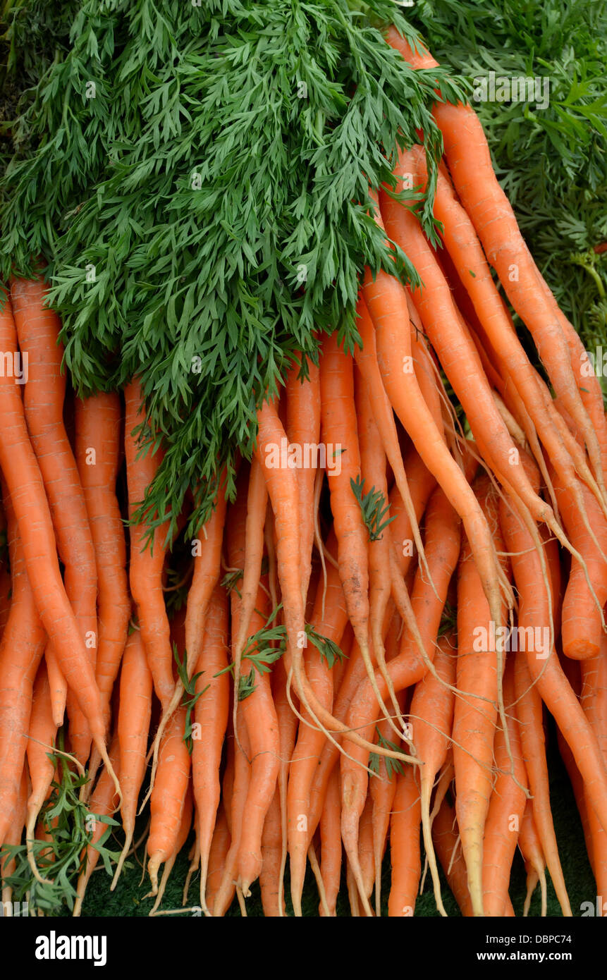 Carots High Resolution Stock Photography and Images - Alamy