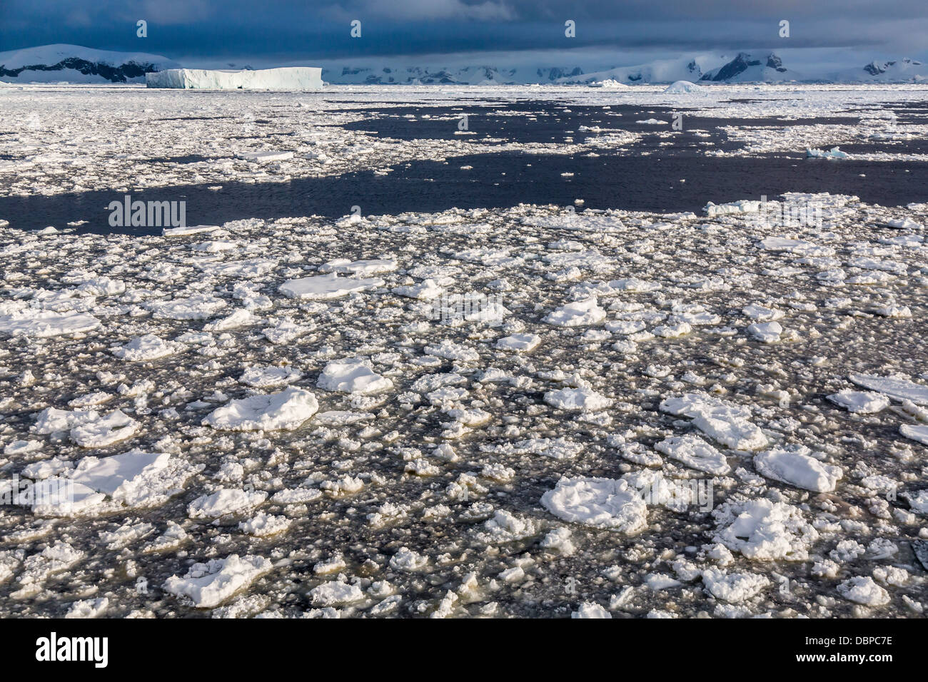 First year sea ice and brash ice near Petermann Island, western side of ...