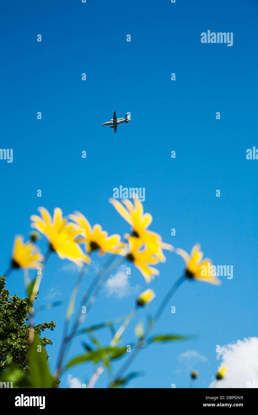 Flower aeroplane hi-res stock photography and images - Alamy