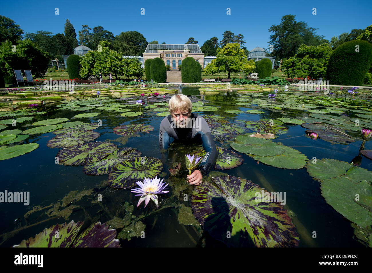 Employee achim bauer cares pond hi-res stock photography and images - Alamy