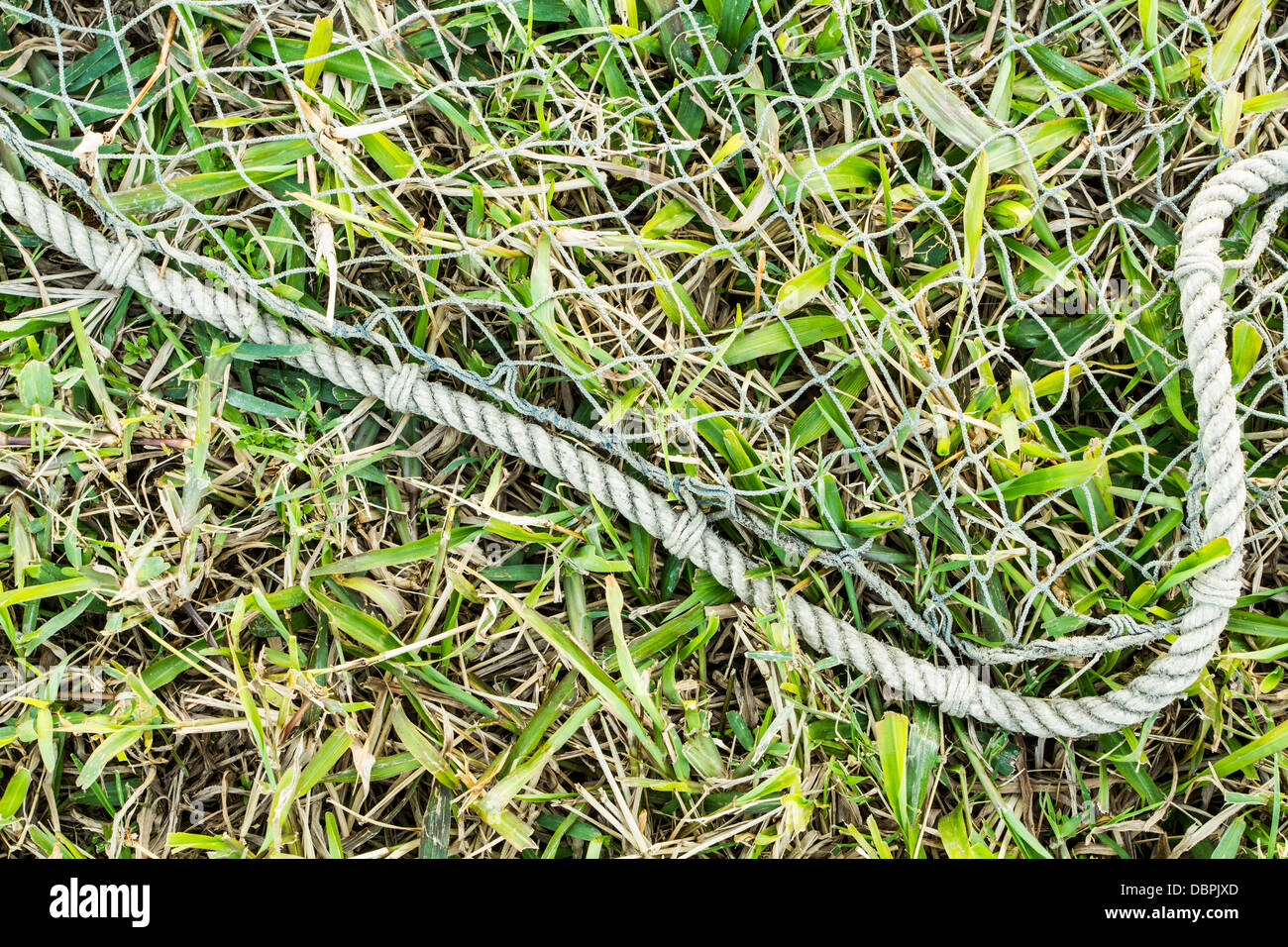 Fishing net on the grass at Armacao Beach Stock Photo - Alamy