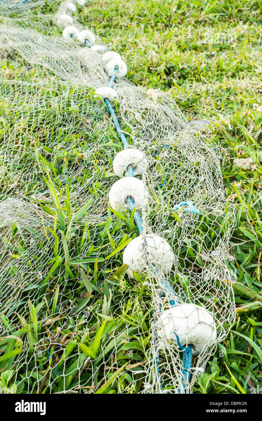 Fishing net on the grass at Armacao Beach Stock Photo - Alamy
