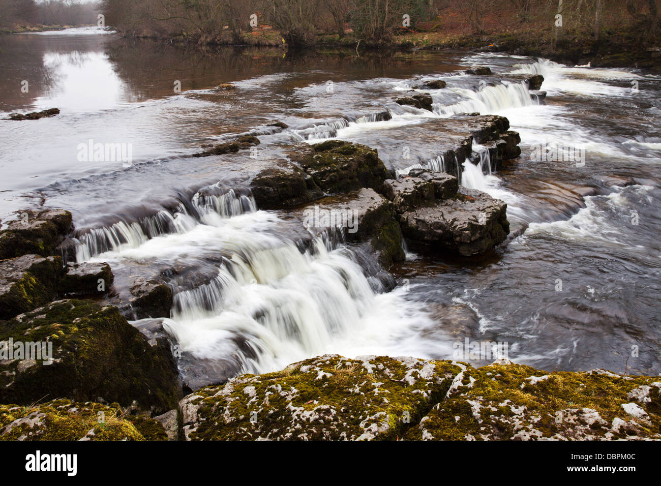 Redmire Force on the River Ure, Wensleydale, Yorkshire Dales, Yorkshire ...