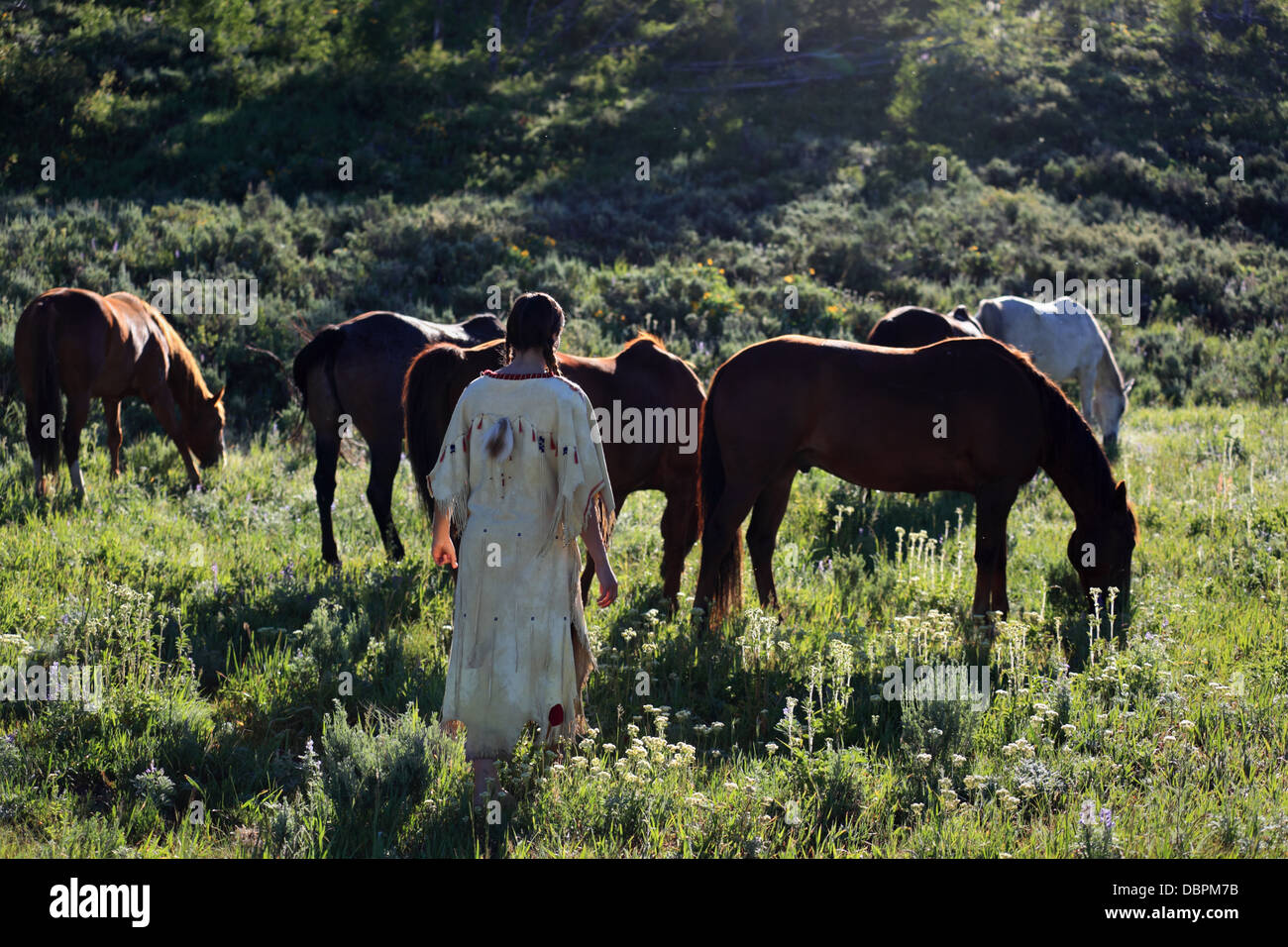 native American Indian girl in traditional costume herds horses in ...