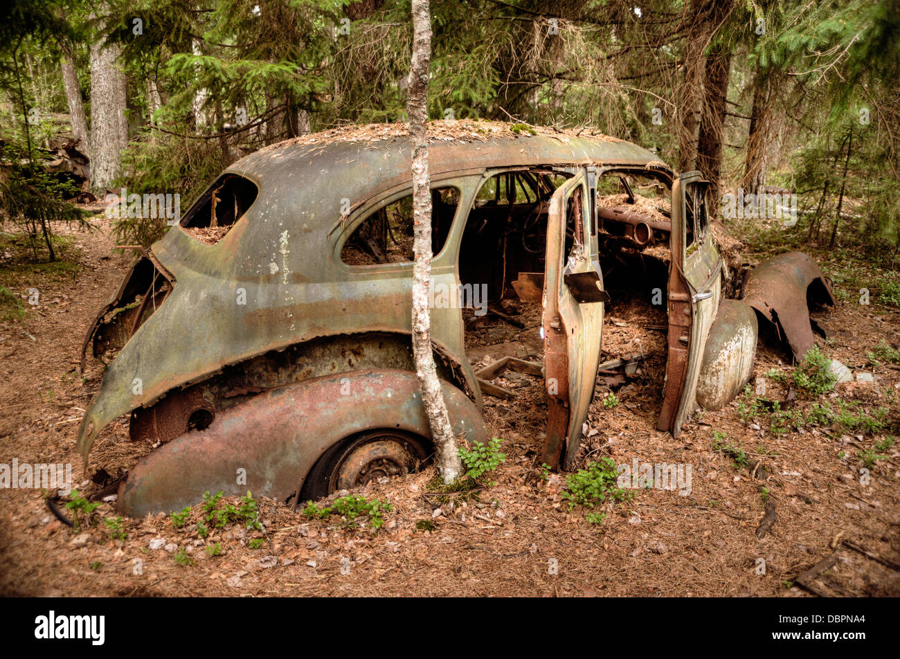Car Dump Kirkö Mosse in Ryd, Sweden Stock Photo - Alamy