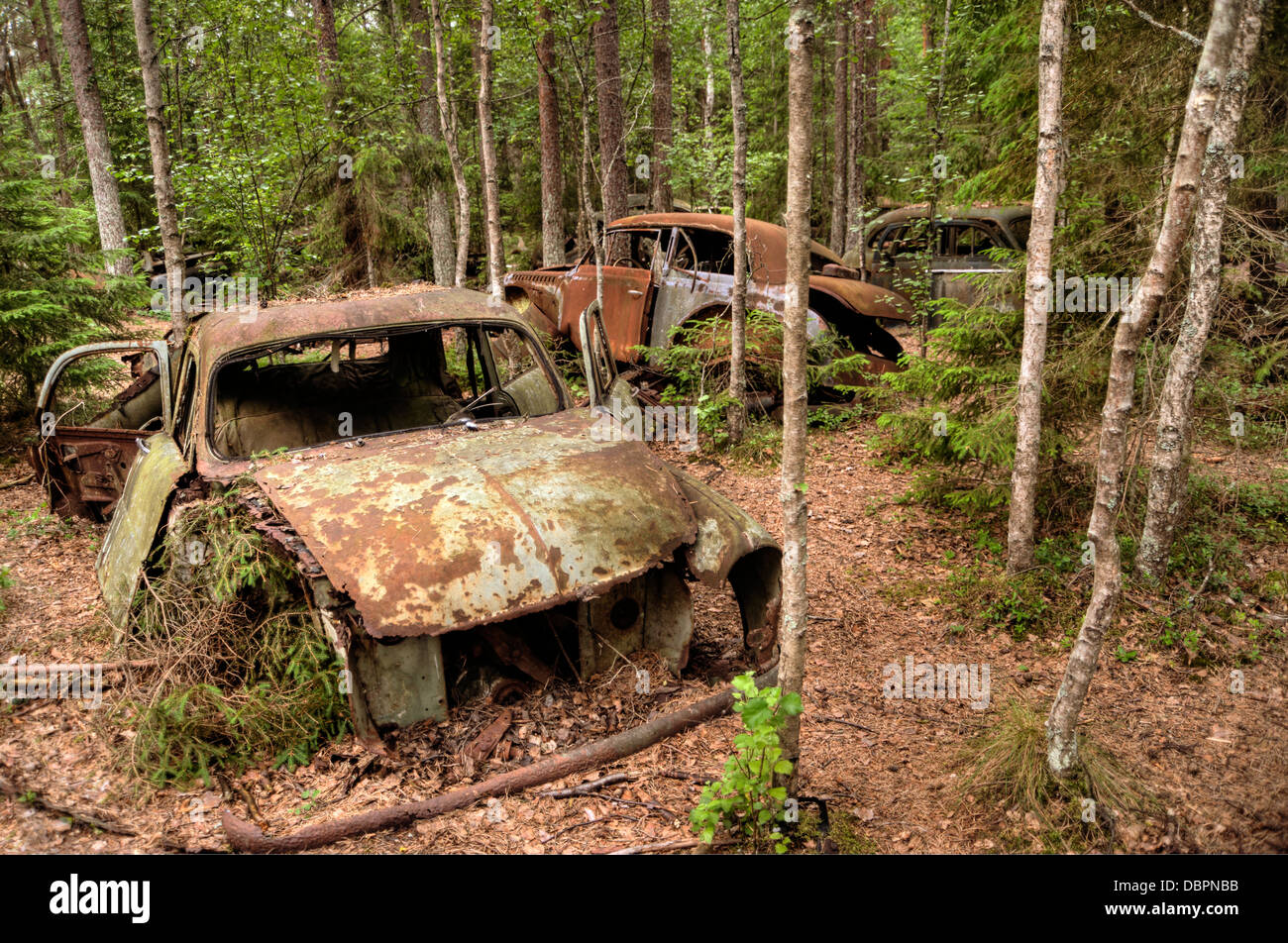 Car Dump Kirkö Mosse in Ryd, Sweden Stock Photo - Alamy
