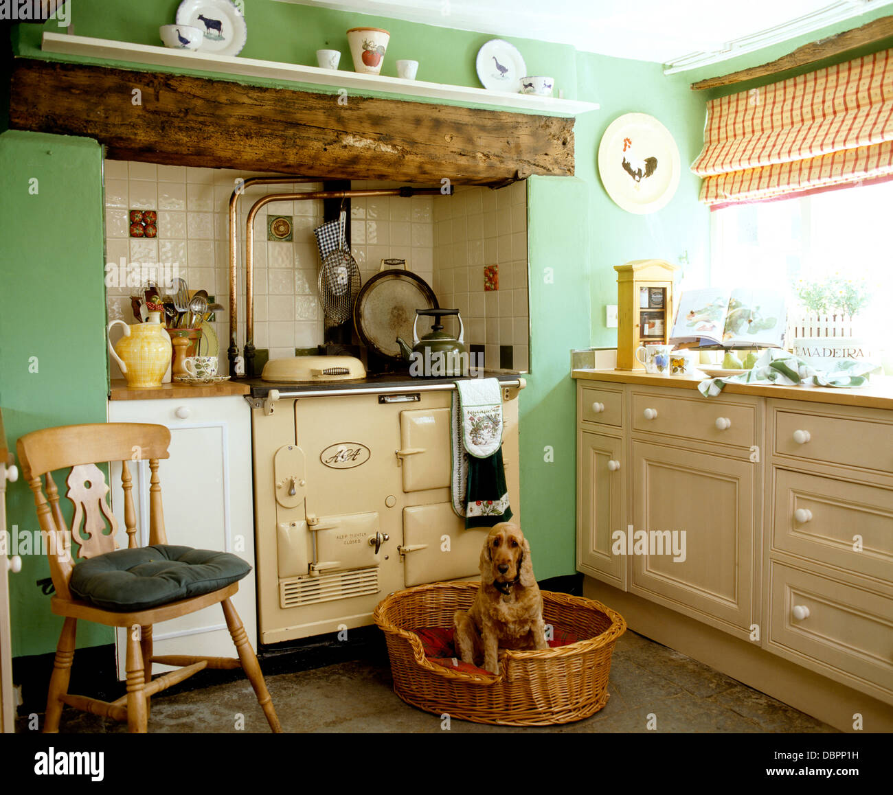Cocker spaniel sitting in basket in front of cream Aga in pale green ...