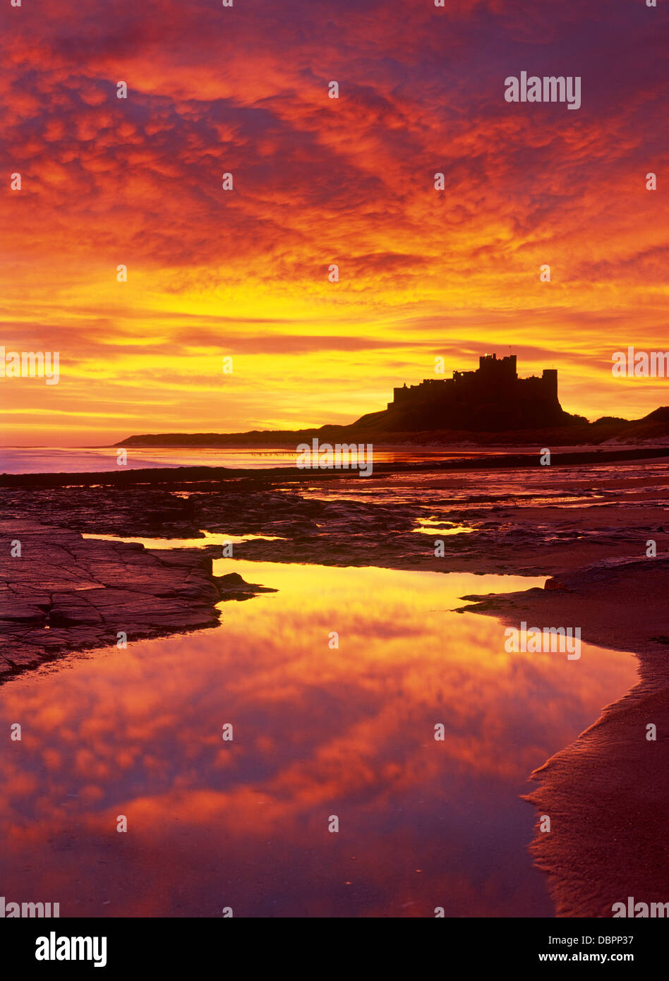 Bamburgh Castle at dawn, Northumberland, England, UK Stock Photo - Alamy