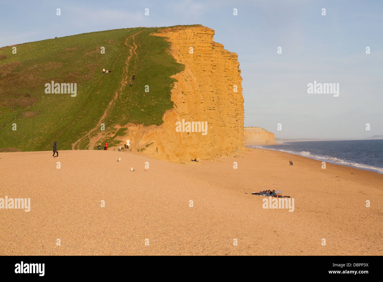 Cliffs at West Bay Dorset England Stock Photo - Alamy