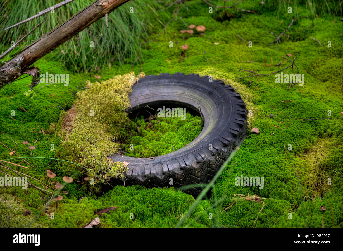 Car Dump Kirkö Mosse in Ryd, Sweden Stock Photo - Alamy