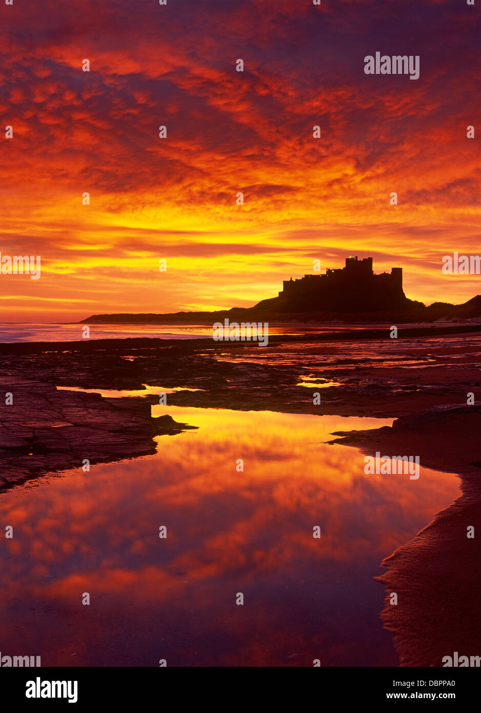Bamburgh Castle at dawn, Northumberland, England, UK Stock Photo - Alamy