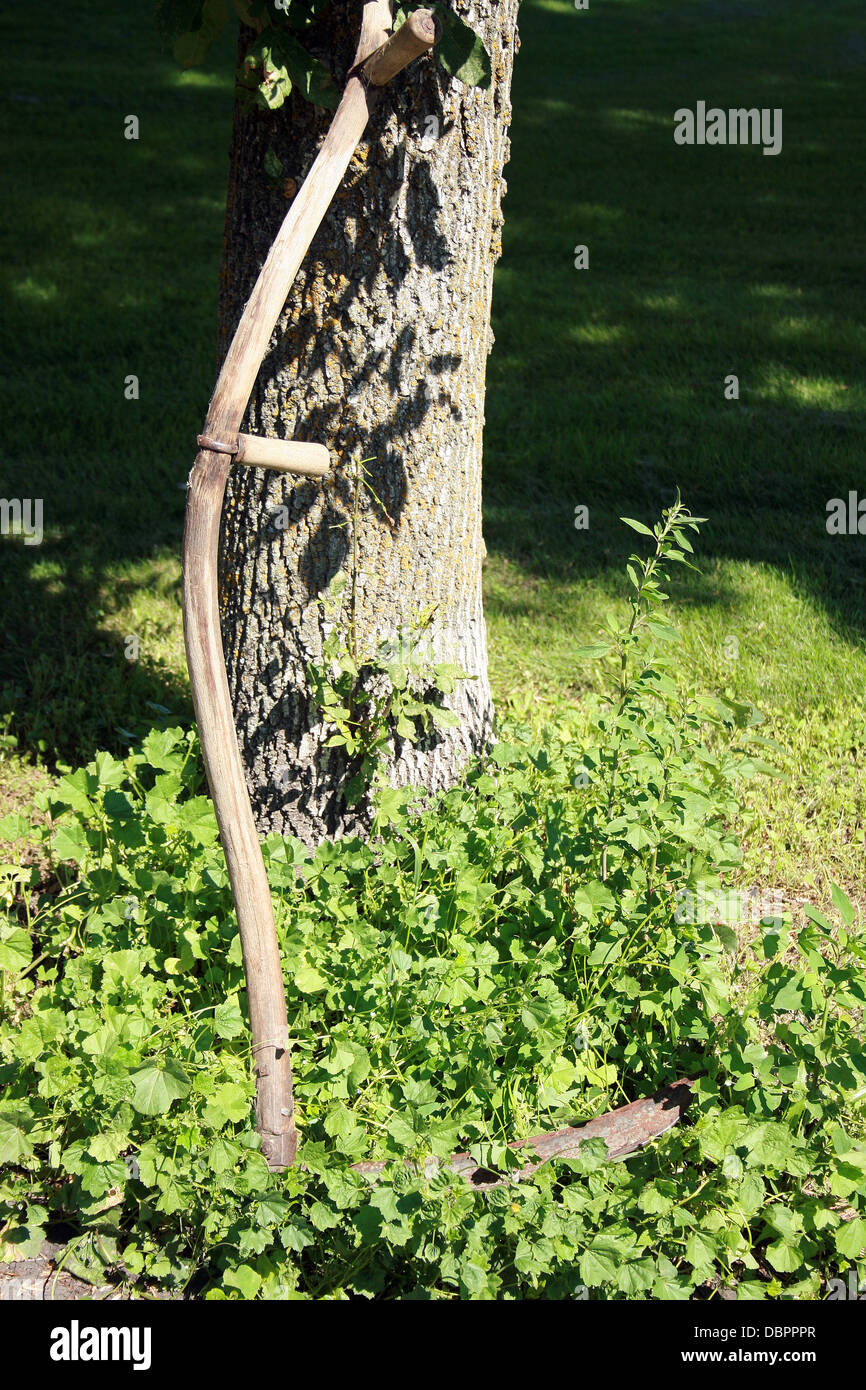 A wooden Scythe leaning against a tree in Altona, Manitoba, Canada ...