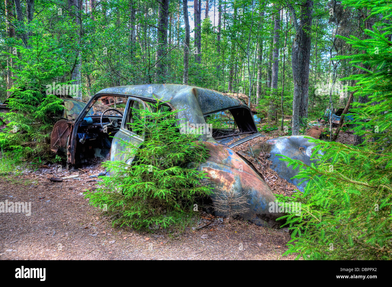 Car Dump Kirkö Mosse in Ryd, Sweden Stock Photo - Alamy