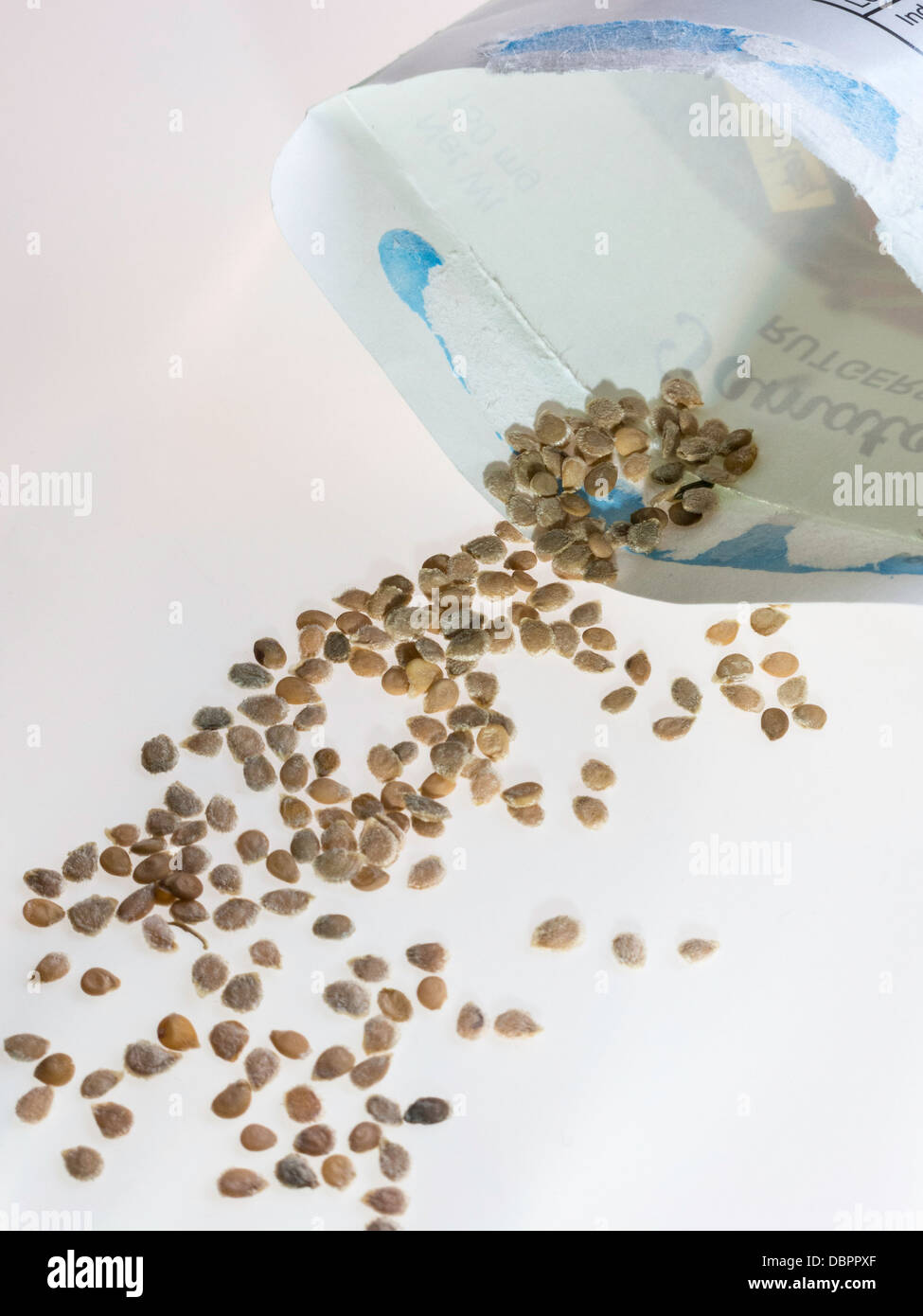 Tomato seed packet hi-res stock photography and images - Alamy