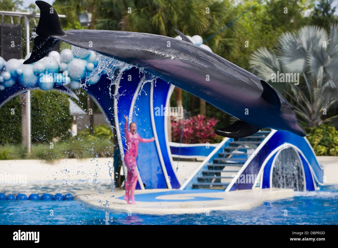 Seaworld orlando dolphin hi-res stock photography and images - Alamy