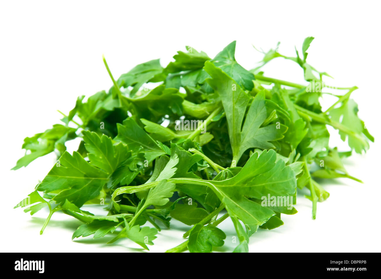 Sprig of curly parsley hi-res stock photography and images - Alamy
