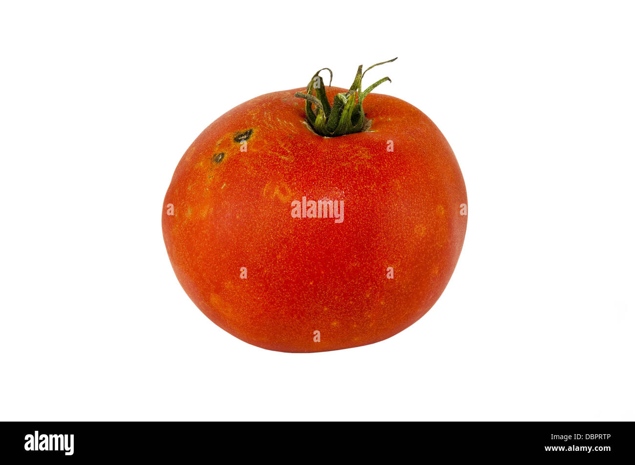 single red tomato isolated on white background Stock Photo - Alamy
