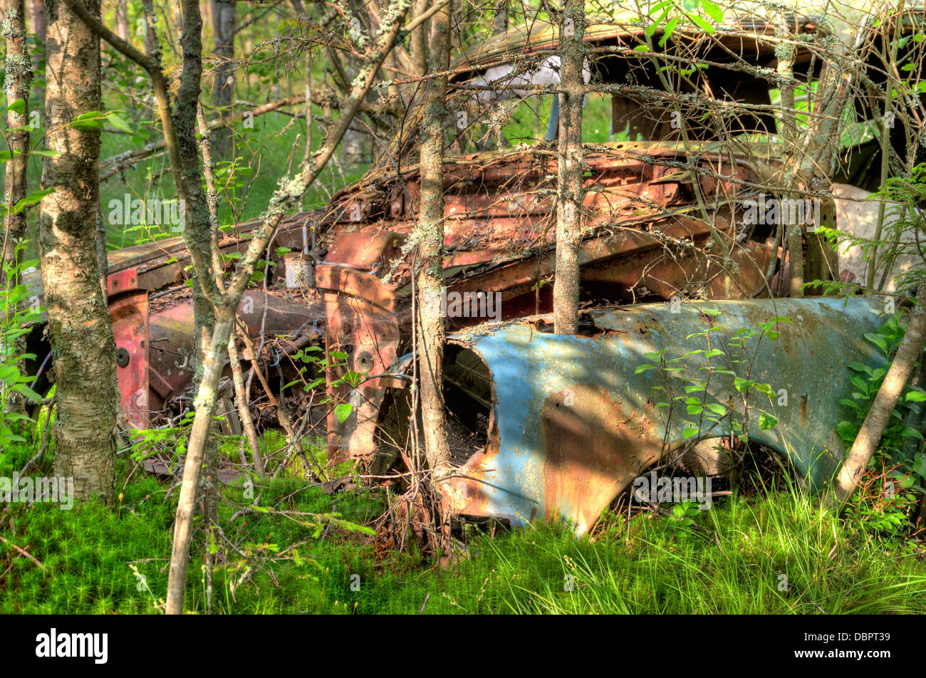 Car Dump Kirkö Mosse in Ryd, Sweden Stock Photo - Alamy