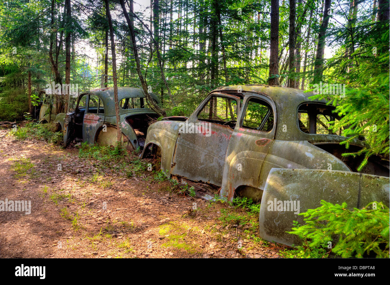 Car Dump Kirkö Mosse in Ryd, Sweden Stock Photo - Alamy