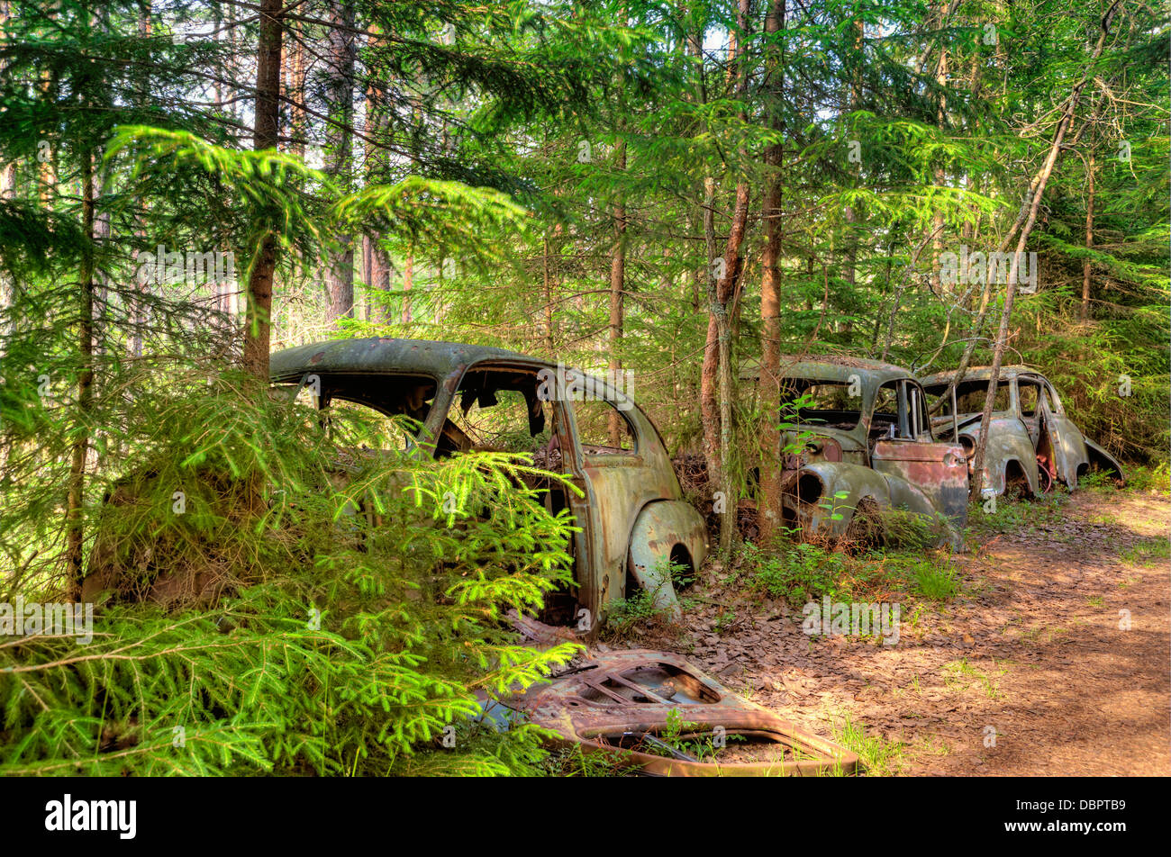 Car Dump Kirkö Mosse in Ryd, Sweden Stock Photo - Alamy