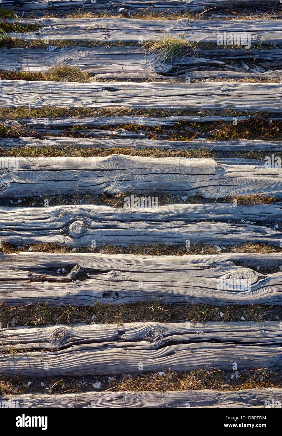 An old path made from wood leads over a sand dune at the North Sea on ...