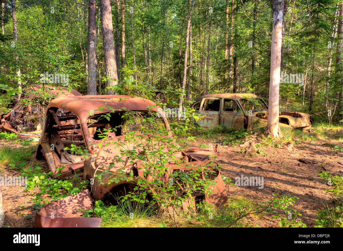 Car Dump Kirkö Mosse in Ryd, Sweden Stock Photo - Alamy