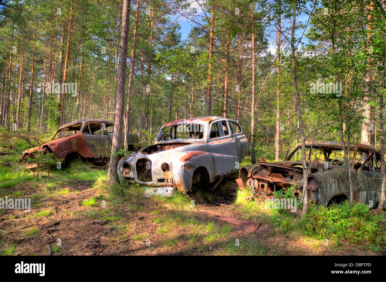 Car Dump Kirkö Mosse in Ryd, Sweden Stock Photo - Alamy
