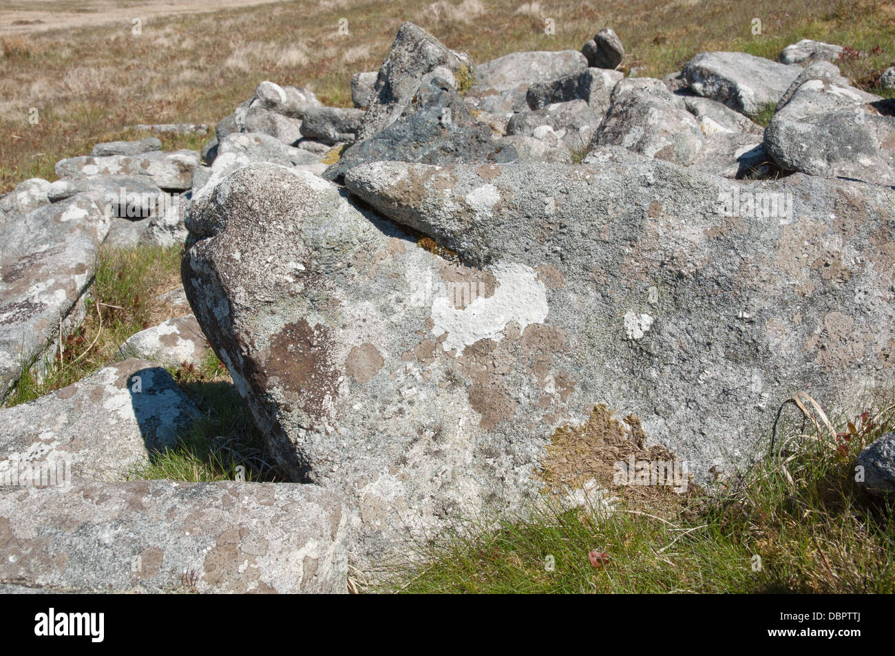Weathered granite rock with lichen and moss near Three Barrows on ...