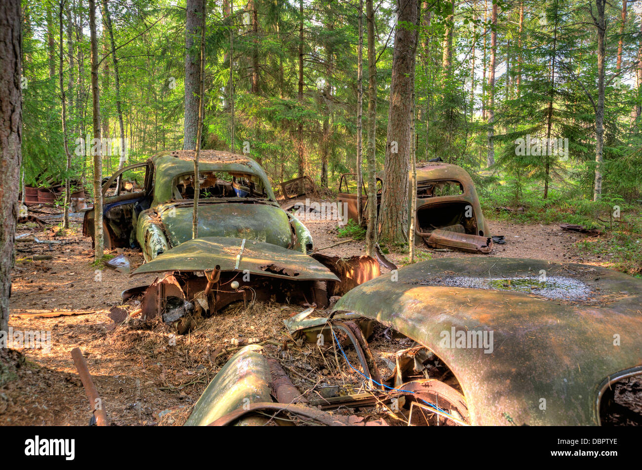 Car Dump Kirkö Mosse in Ryd, Sweden Stock Photo - Alamy
