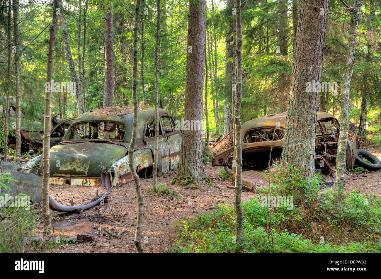 Car Dump Kirkö Mosse in Ryd, Sweden Stock Photo - Alamy