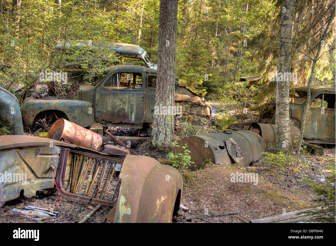 Car Dump Kirkö Mosse in Ryd, Sweden Stock Photo - Alamy